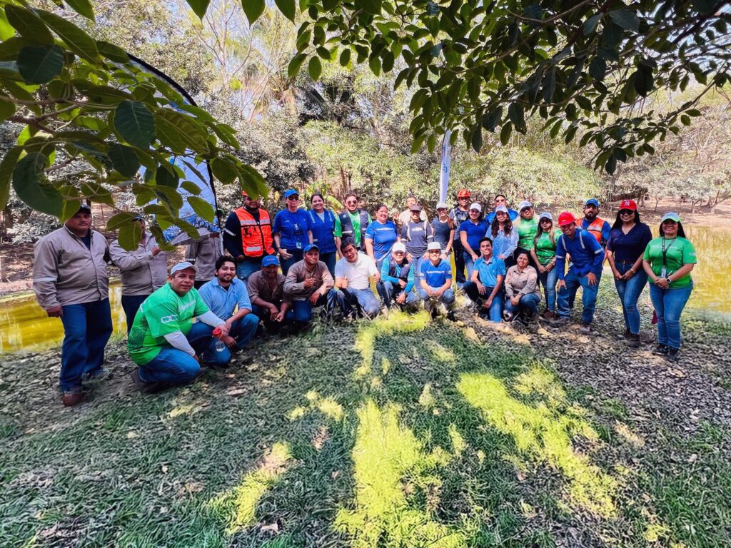Grupo CICE da inicio a su Programa Anual de Reforestación en Veracruz - CICE