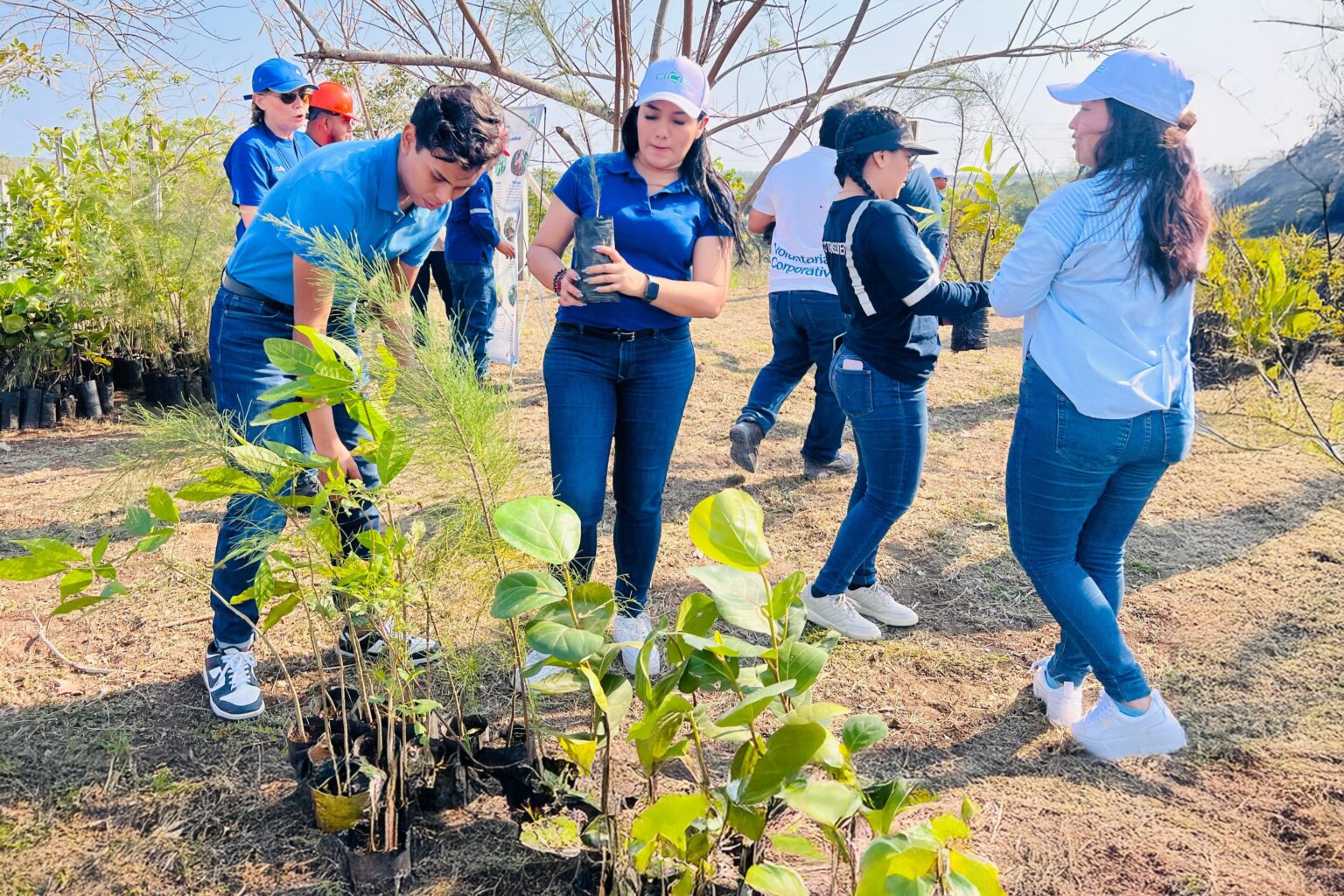 Grupo CICE da inicio a su Programa Anual de Reforestación en Veracruz ...